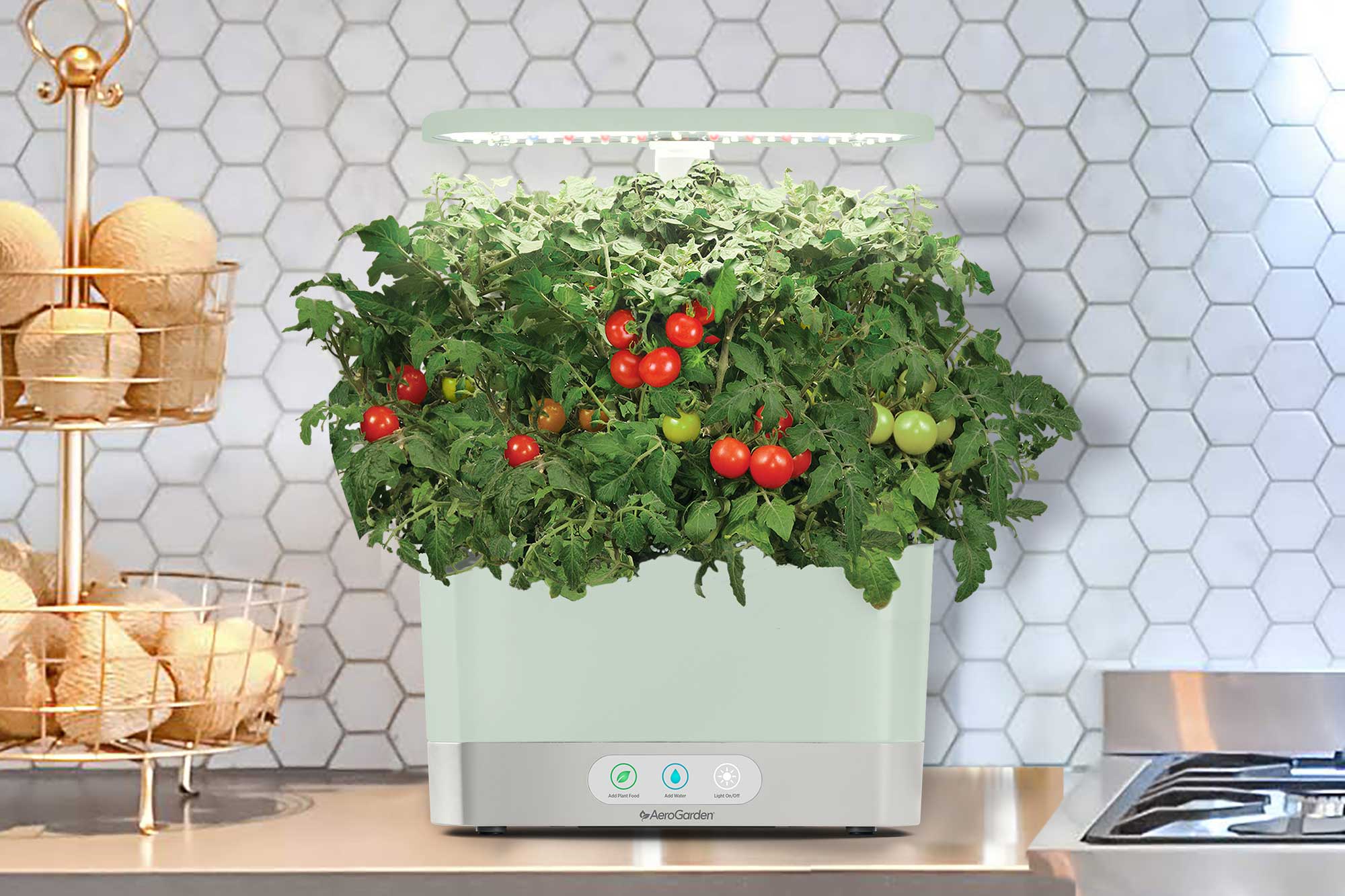 Climate-Friendly Gifts for Any Occasion in 2021 – Future Proof